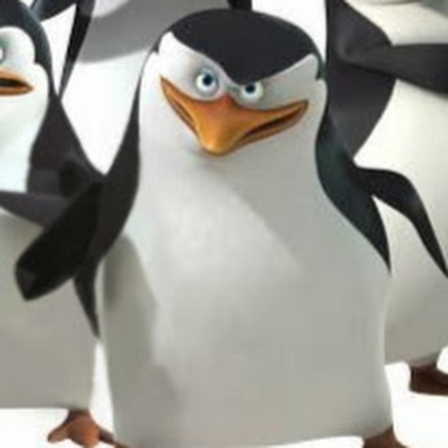 Clara Skipper The Leader Agent Penguins - YouTube