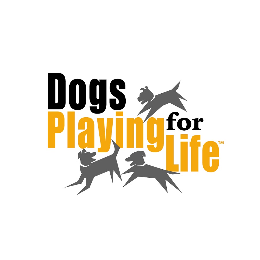 Dogs Playing for Life - YouTube