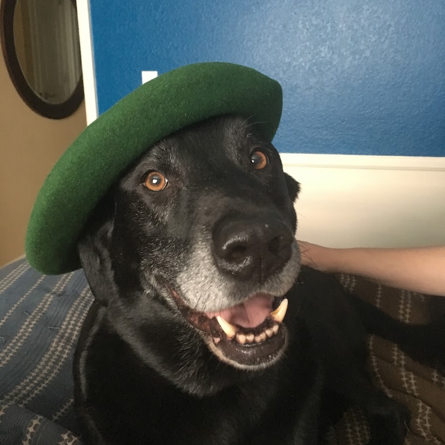 Bowser The Dog - YouTube