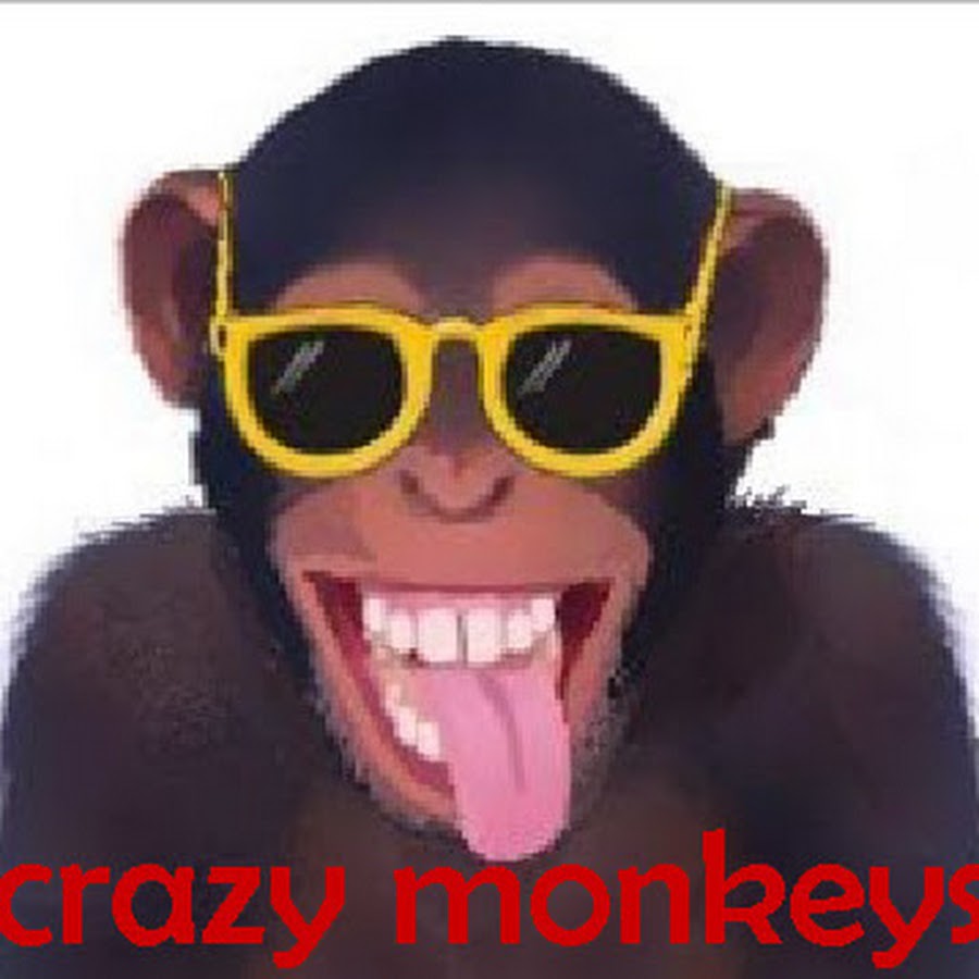 crazy monkeys - YouTube