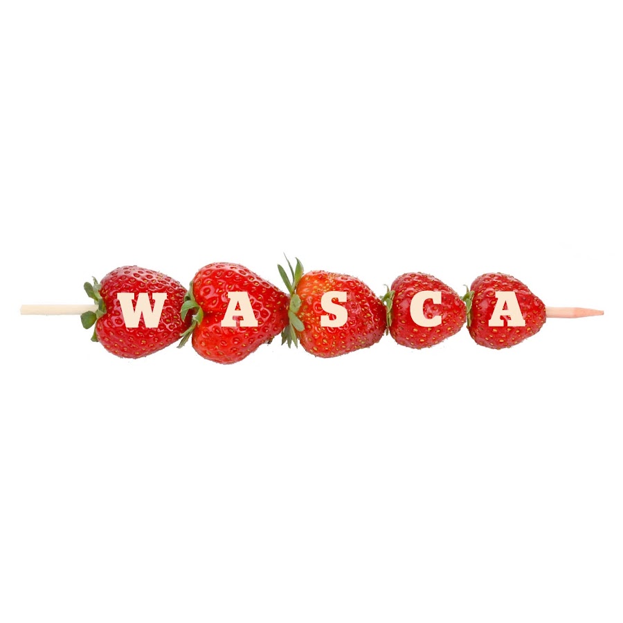 WASCA Inc. - YouTube