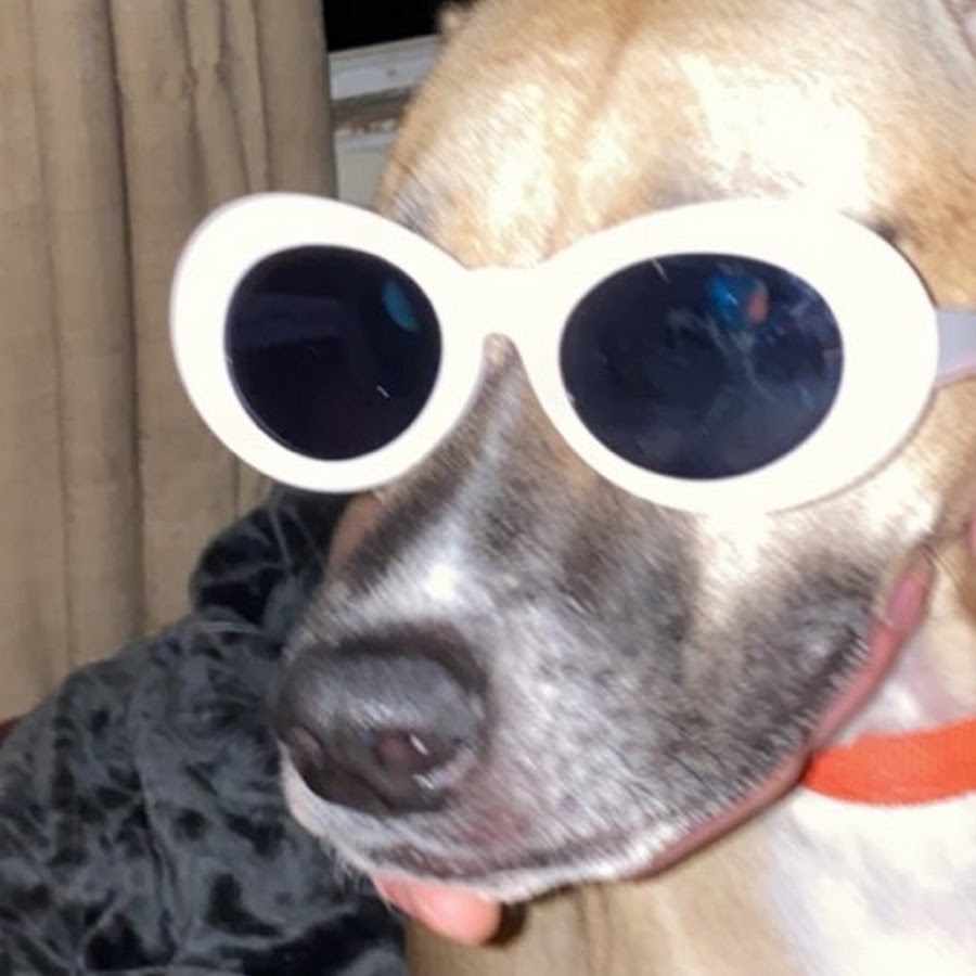 Fakas Crip - YouTube