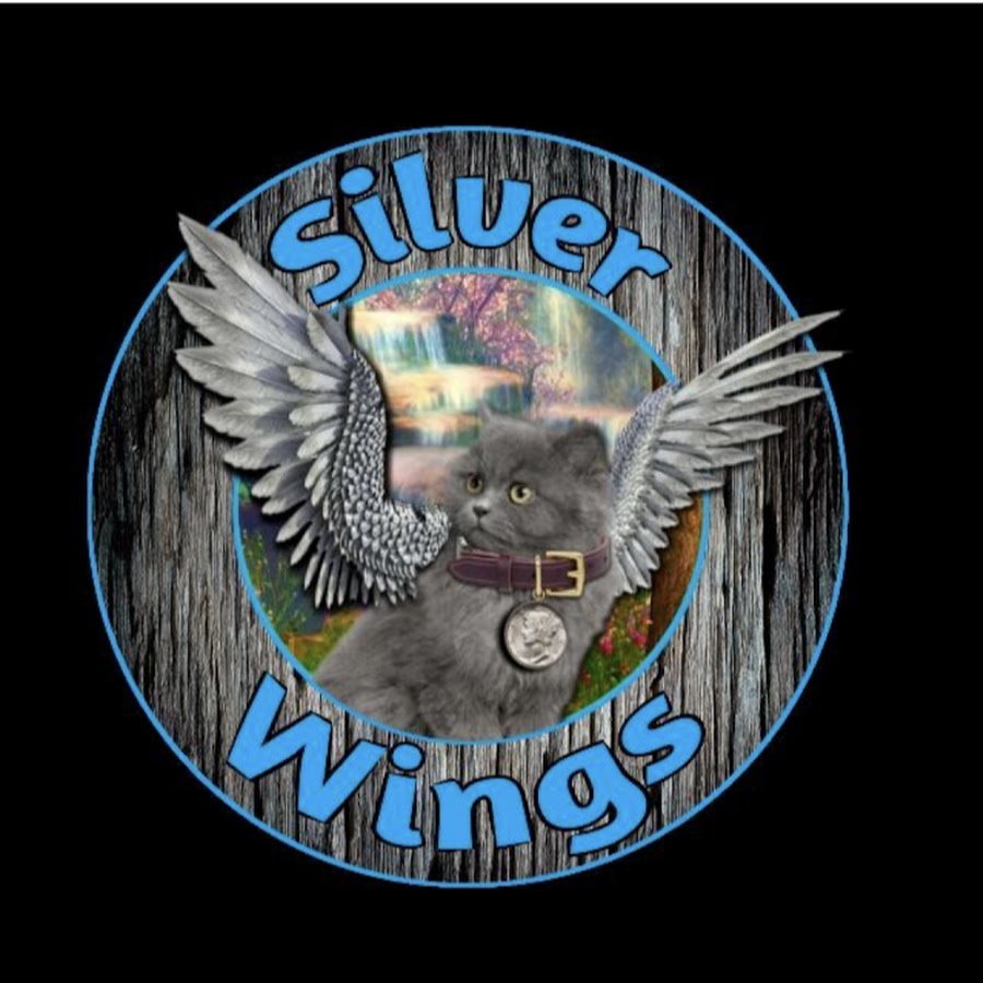 Silver Wings - YouTube