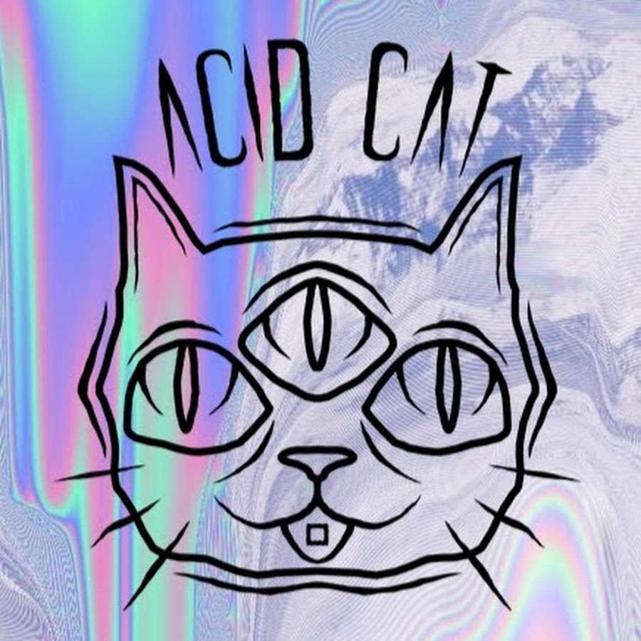 Acid Cat - YouTube