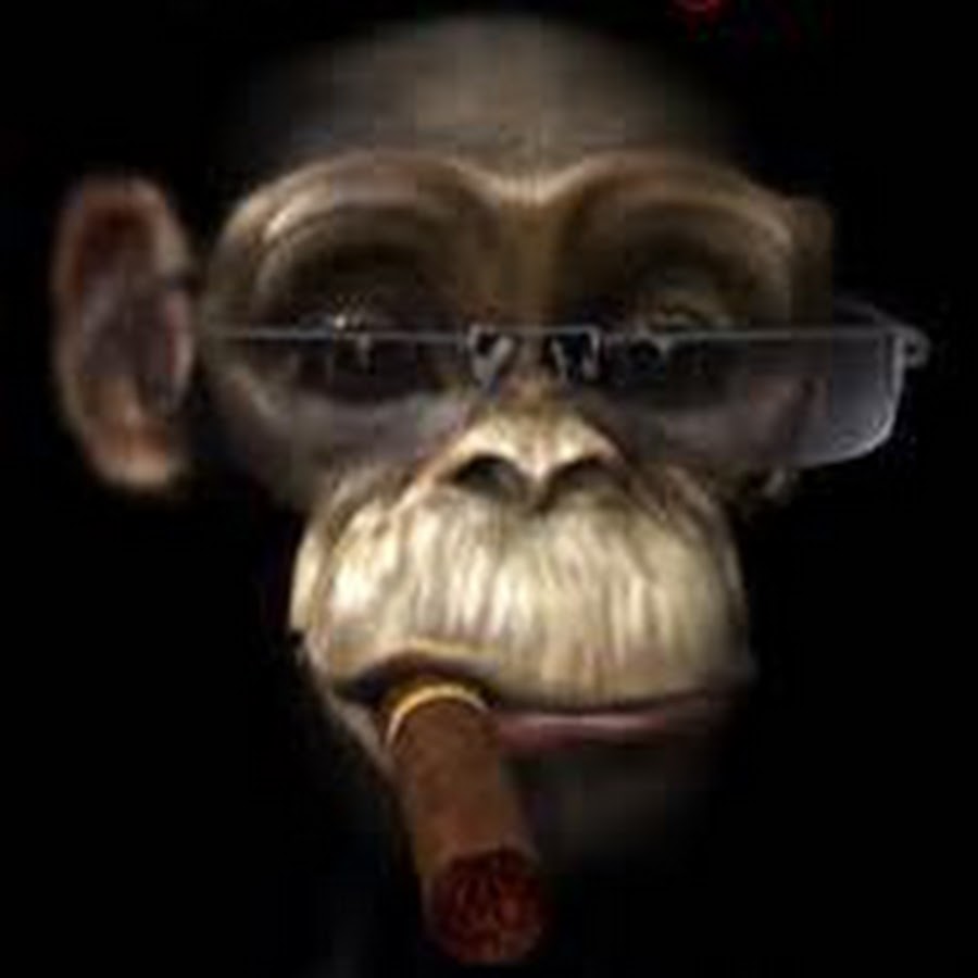 Rude Monkey - YouTube