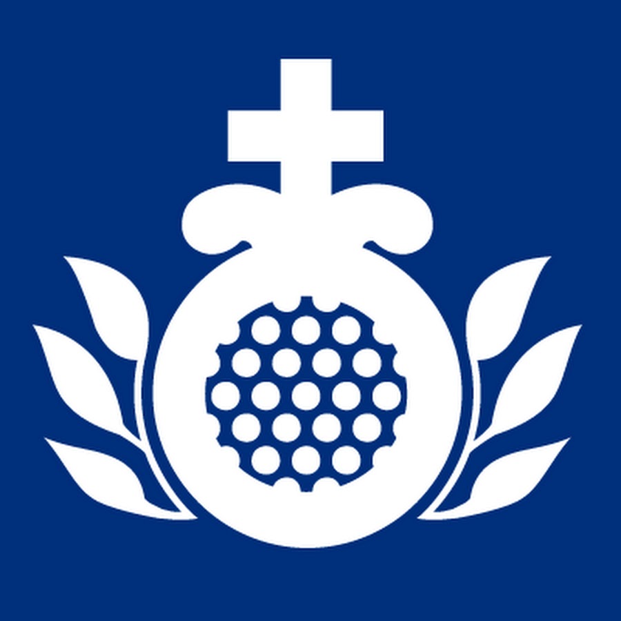 HSJD.ORG Historia y Vida - YouTube