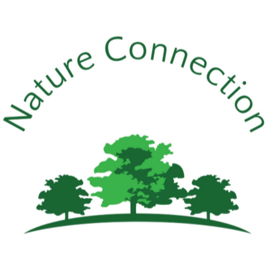 Nature Connection - YouTube
