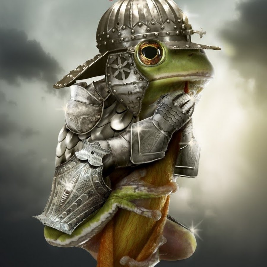 Frog-Knight - YouTube