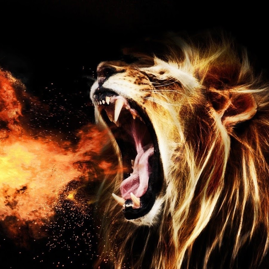 The Gaming Lion - YouTube