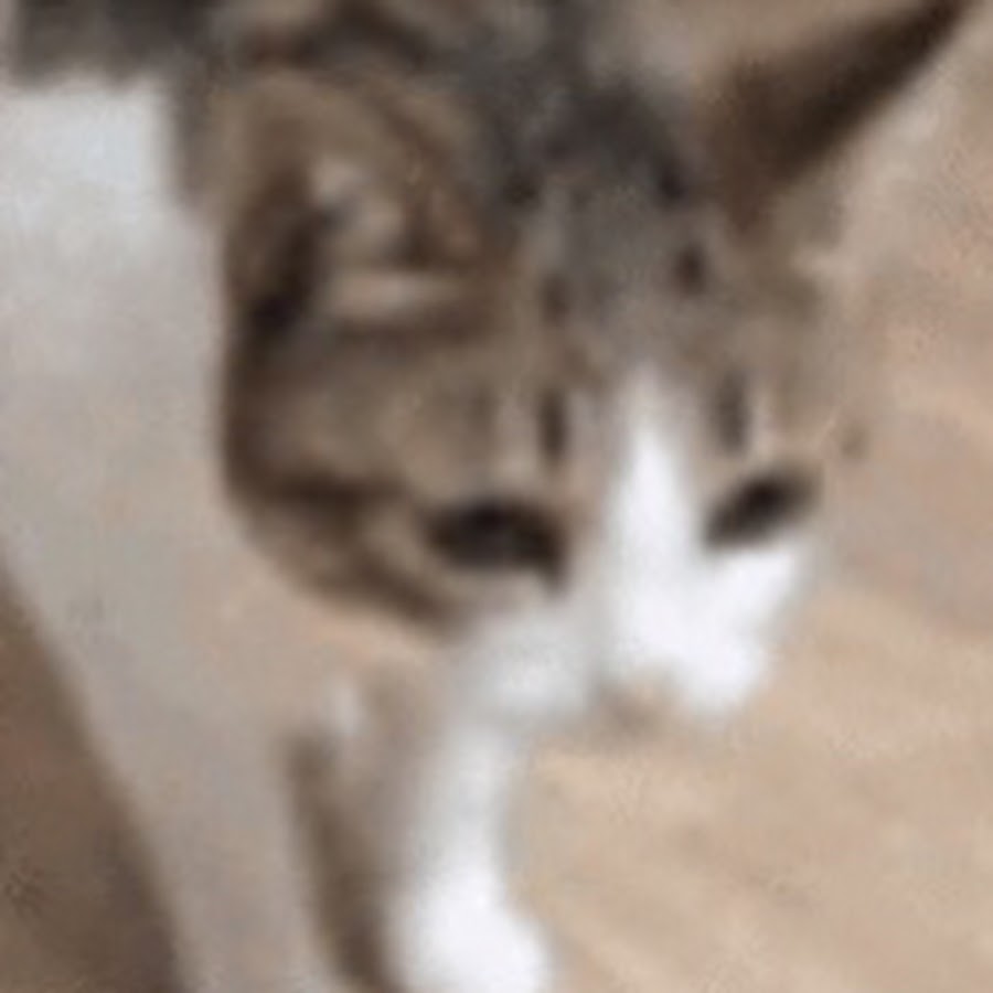 Polygon Donut - YouTube