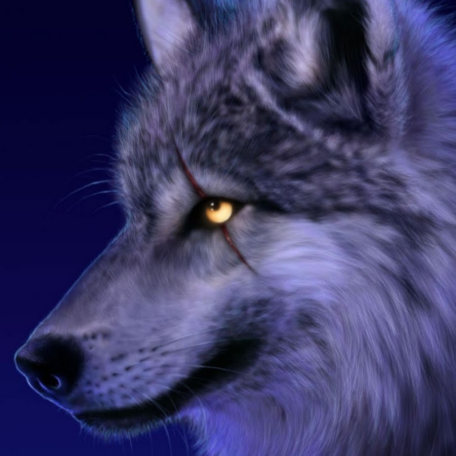 Derpy wolf - YouTube