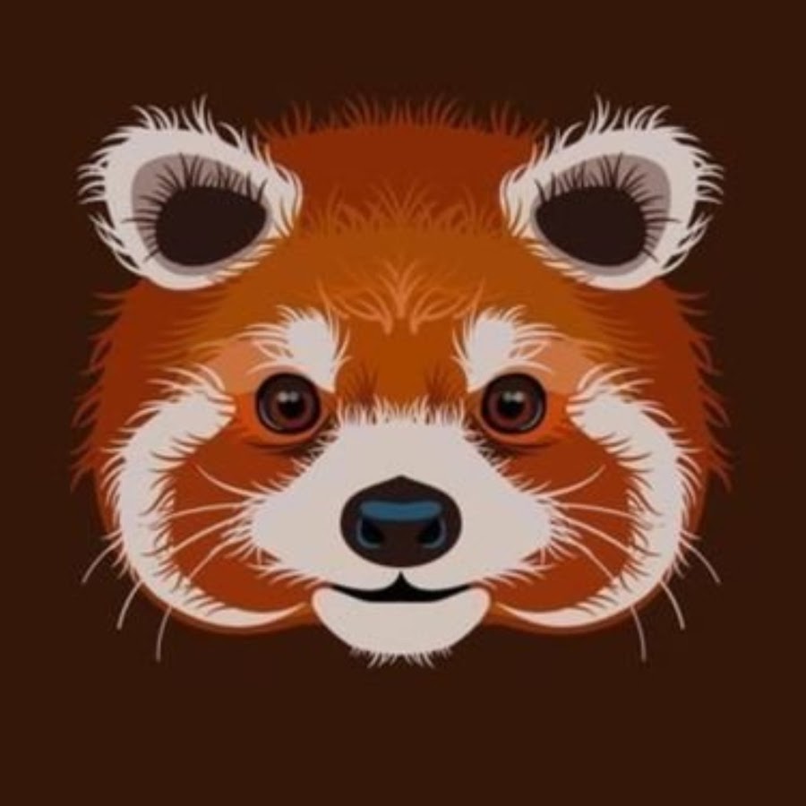 Red Raccoon - YouTube