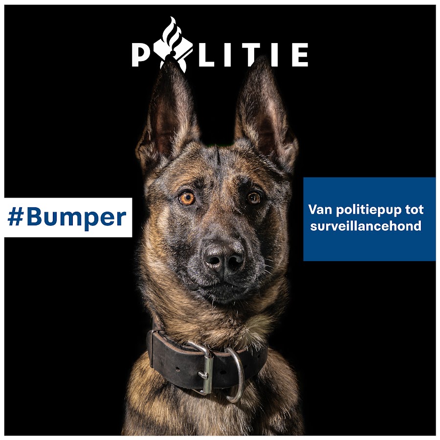 Politiehond Bumper - YouTube