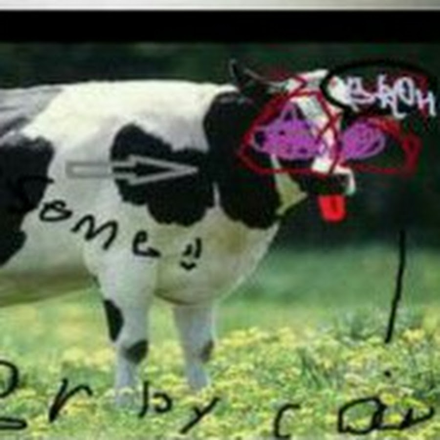 derpy cow - YouTube