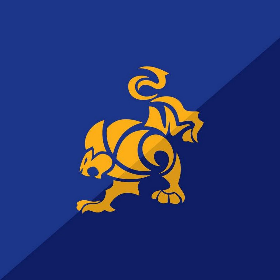 IBJJF (International Brazilian Jiu-Jitsu Federation) - YouTube