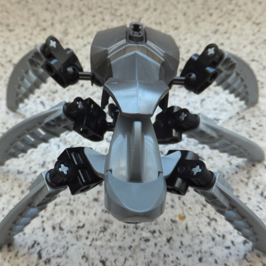 Spider Shark - YouTube