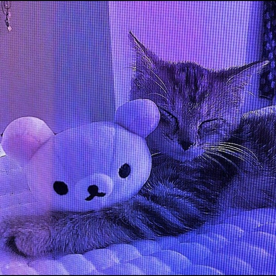 - Lexine - - YouTube