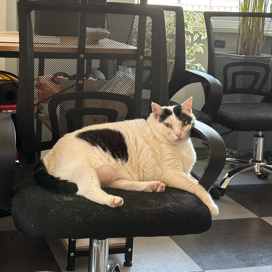 EUNTAEK JUNG - YouTube