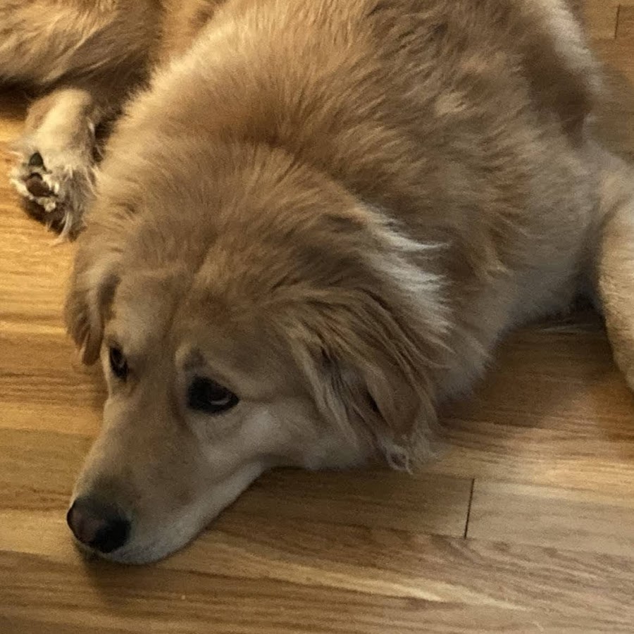 Patrick Jenner - YouTube