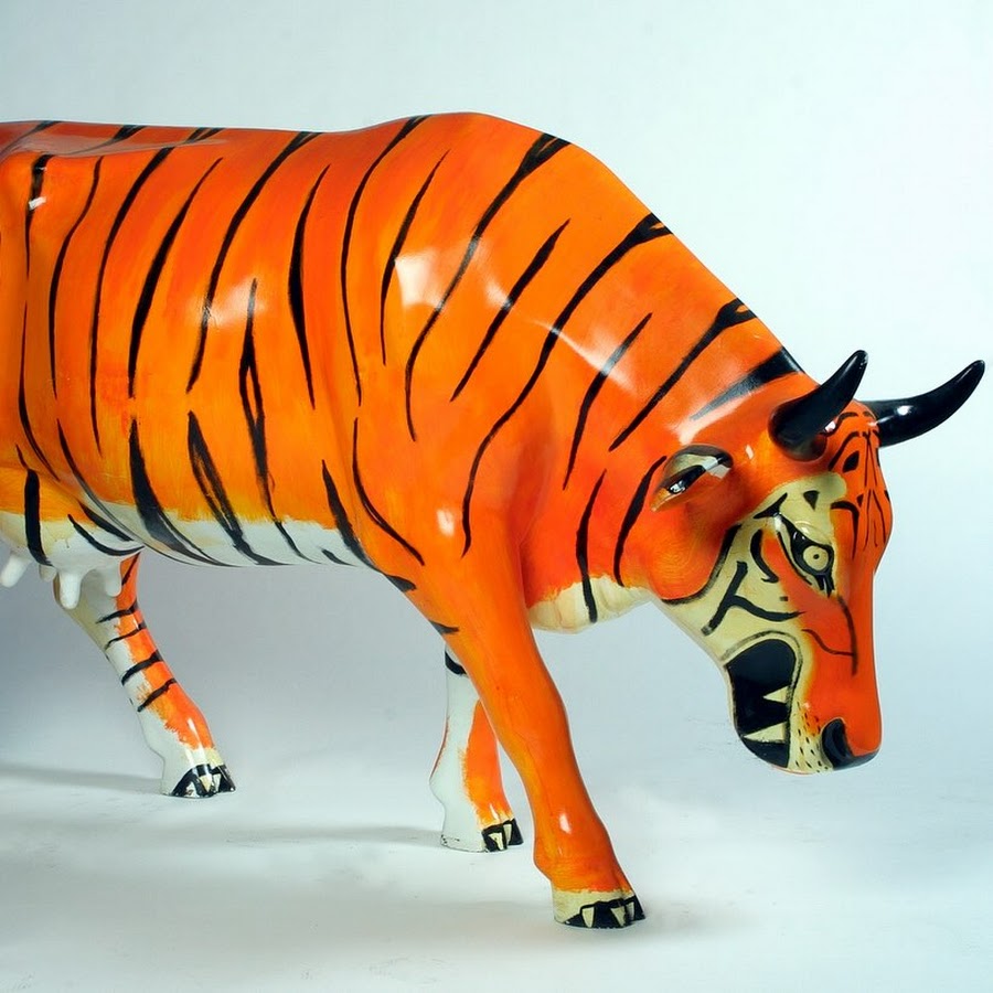 Cow Tiger - YouTube