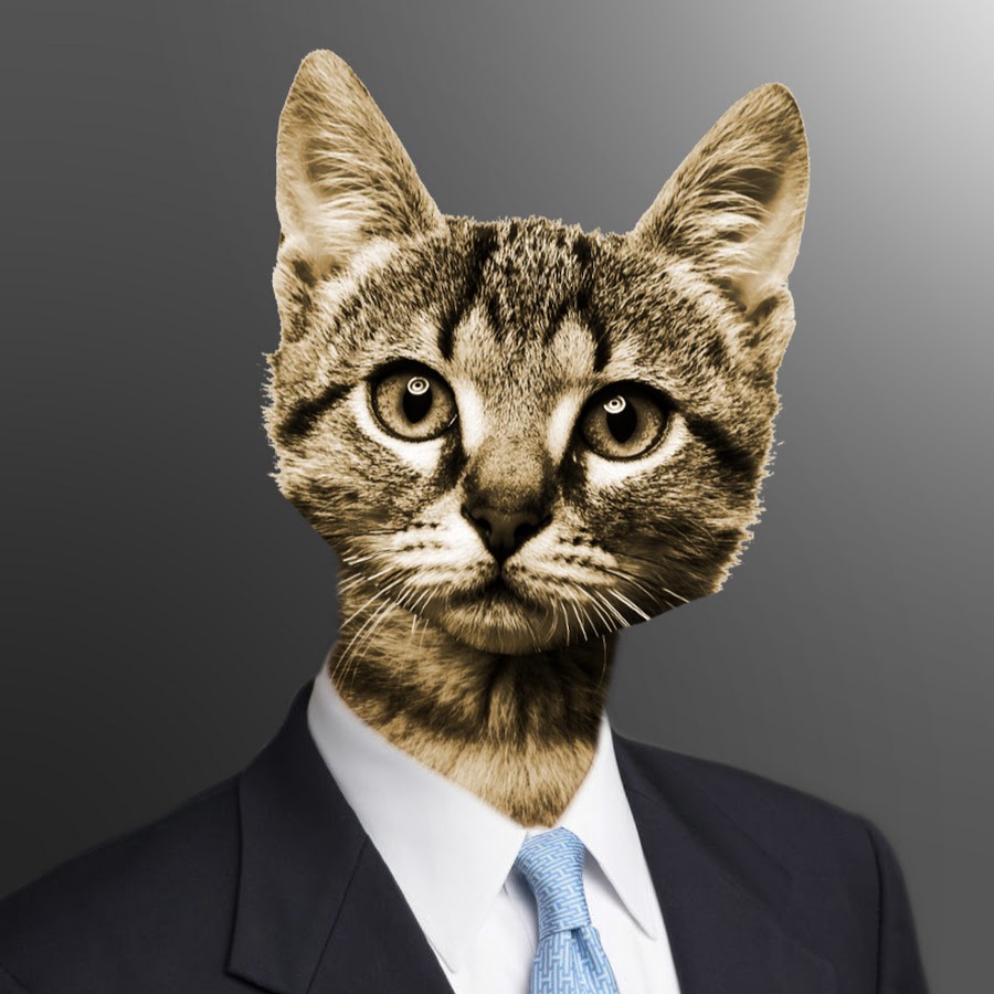 Business Cat - YouTube