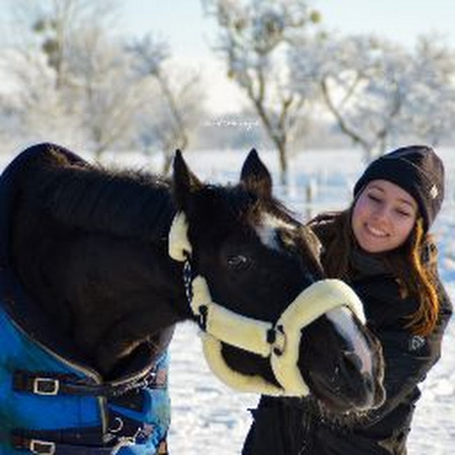 Horsy Horses - YouTube