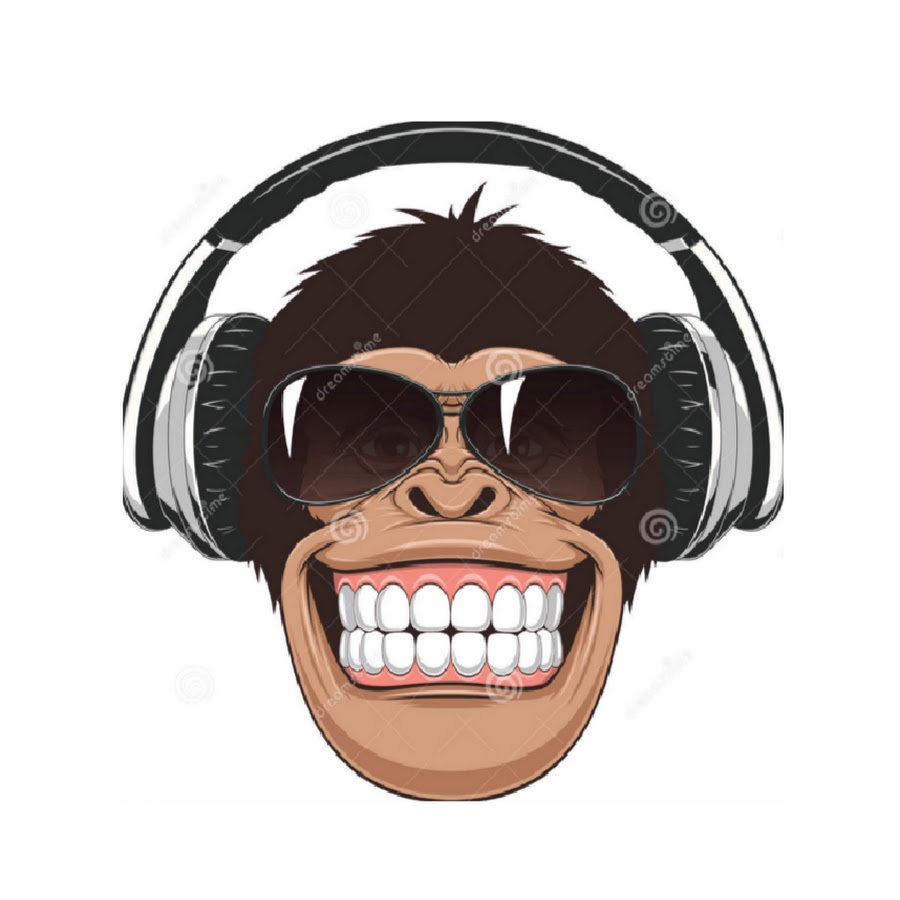 macaco zuado - YouTube