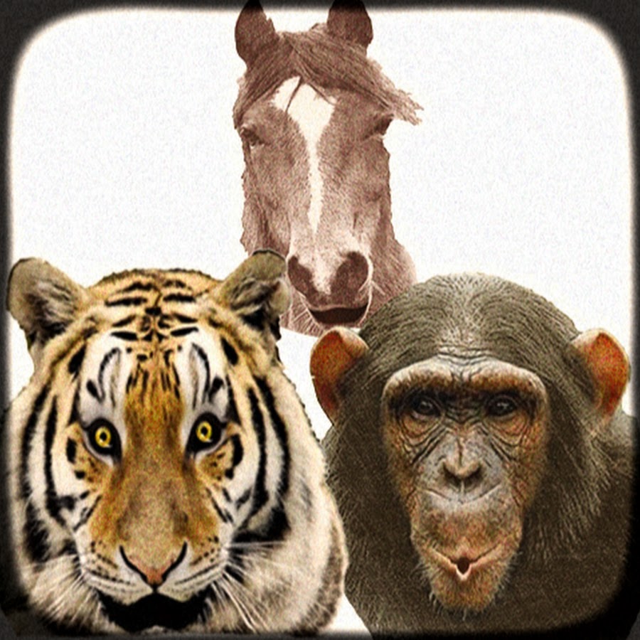 John Tramp - YouTube