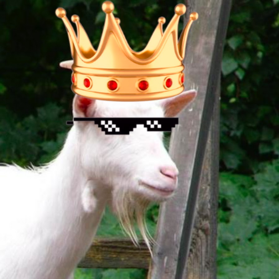 I am the Goat - YouTube