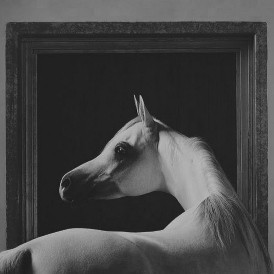 The Most Tireless - YouTube