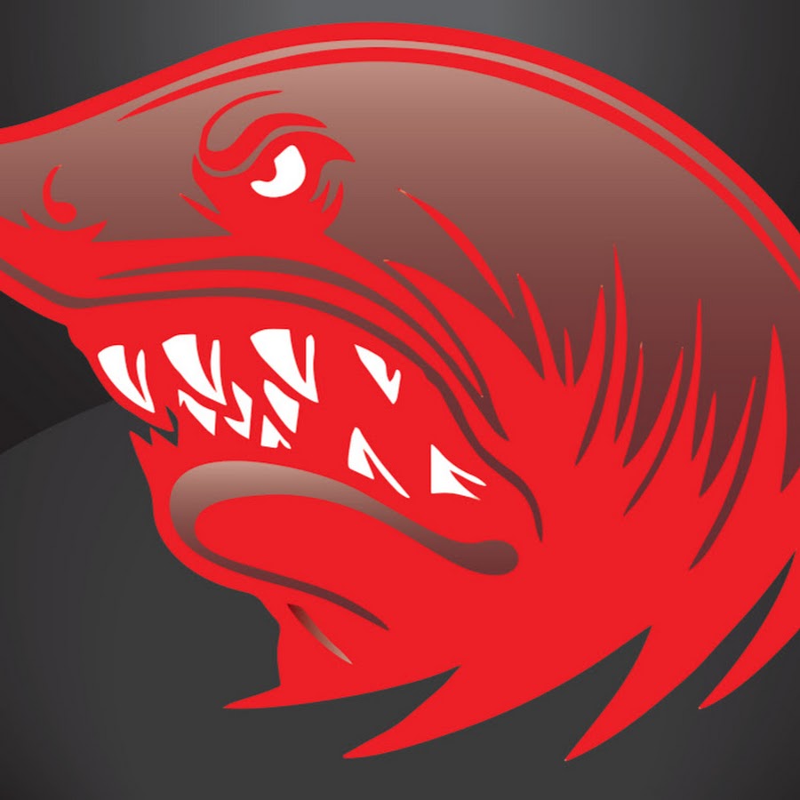 Red Shark Intelligence - YouTube