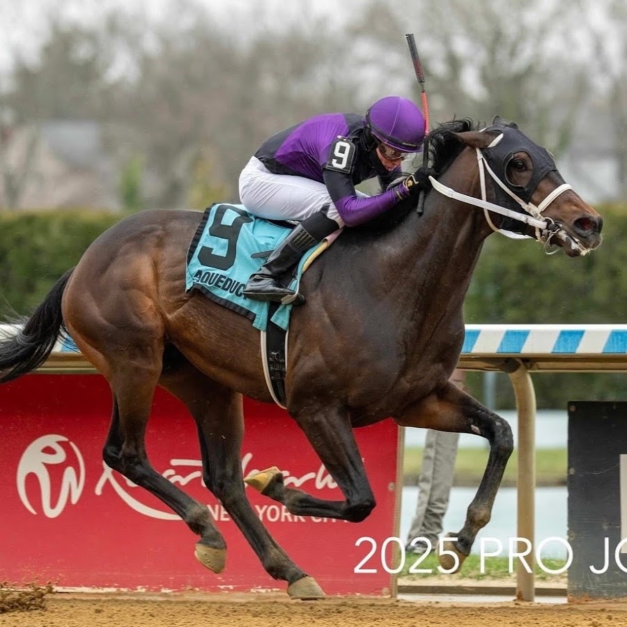 King Chris - YouTube