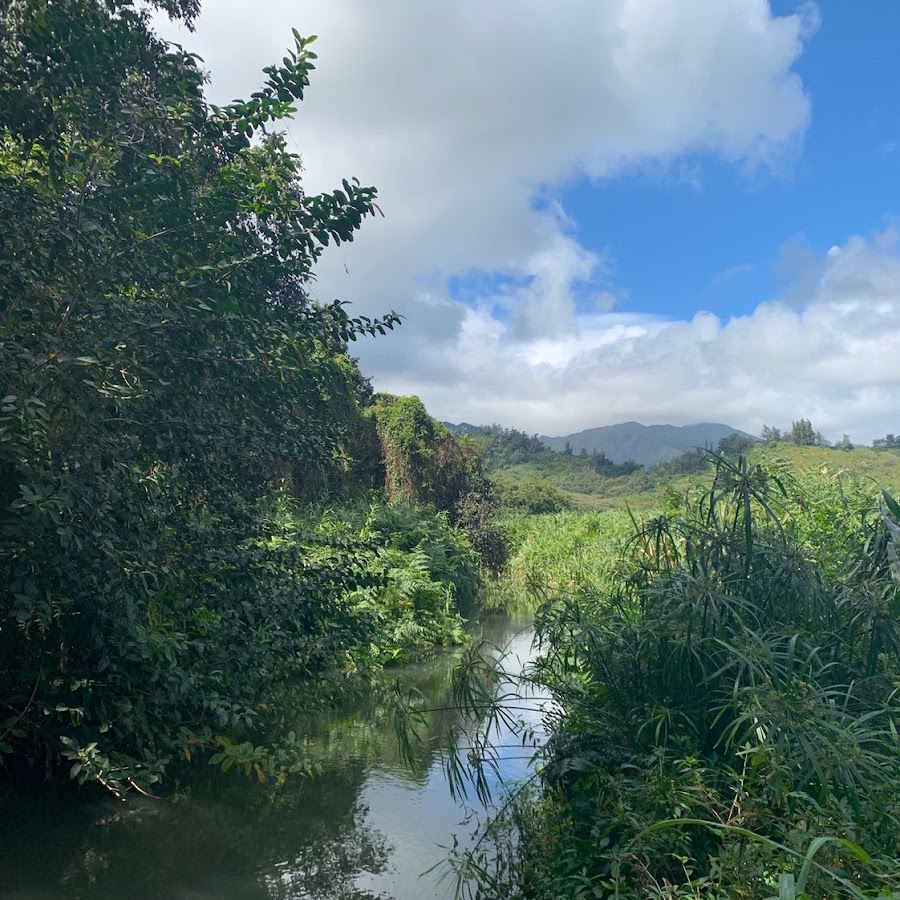 Christina Busby - YouTube