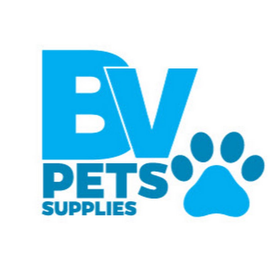 BV Pet - YouTube