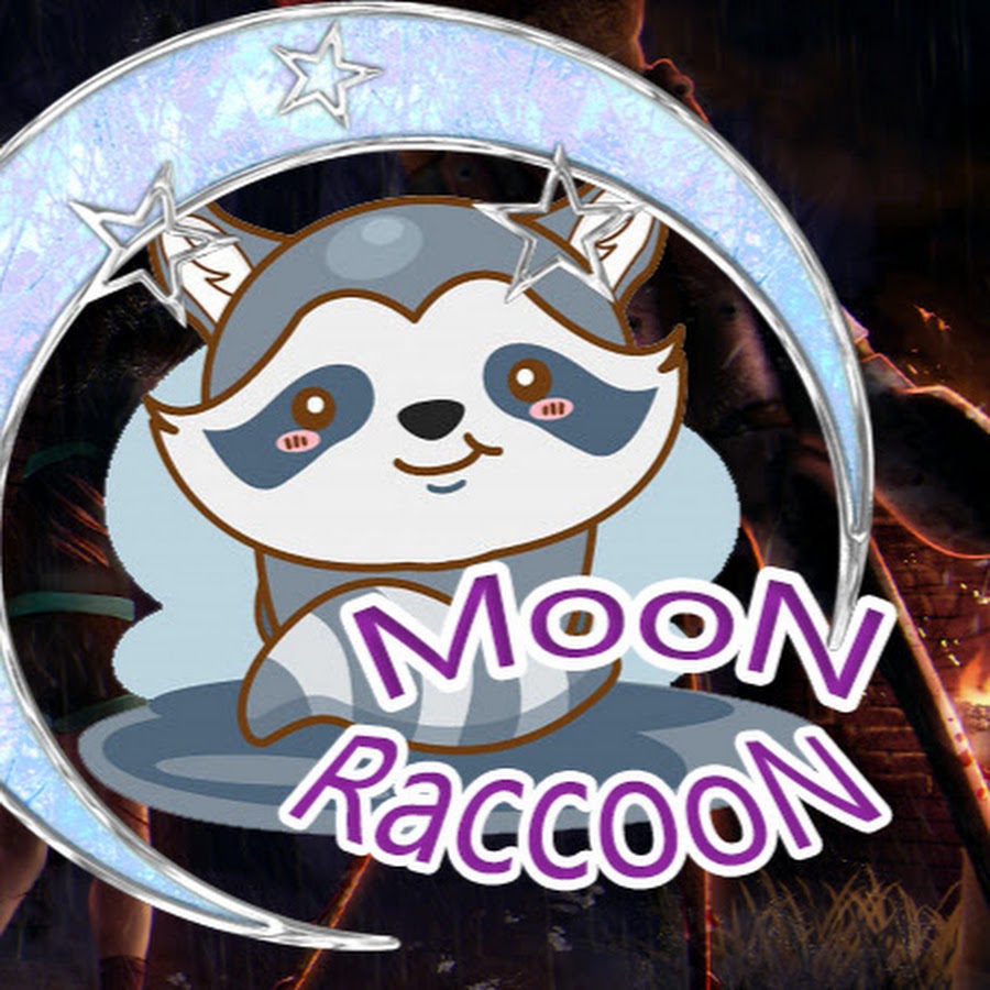 Moon Raccoon - YouTube