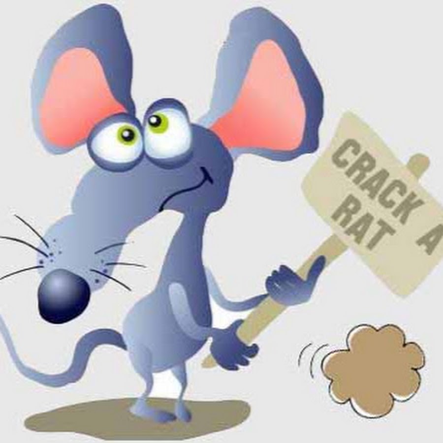 Crack a Rat - YouTube