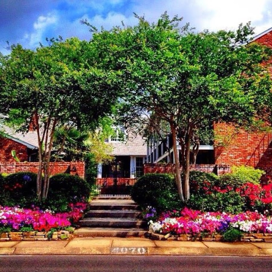 Tri Delta LSU PR - YouTube