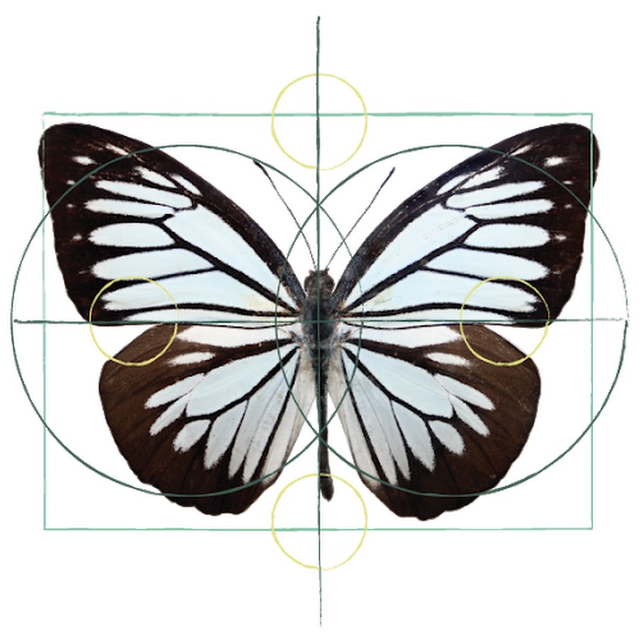 Life By Soul - Grace Cloyd - YouTube