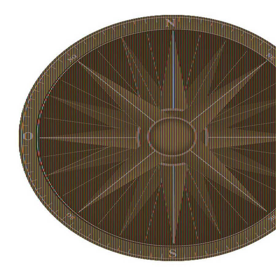 Rumbo Nuevo - YouTube