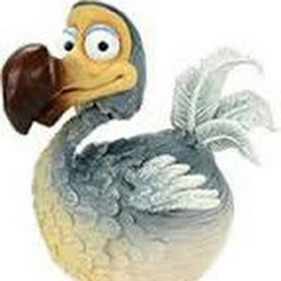 Donald the dodo - YouTube