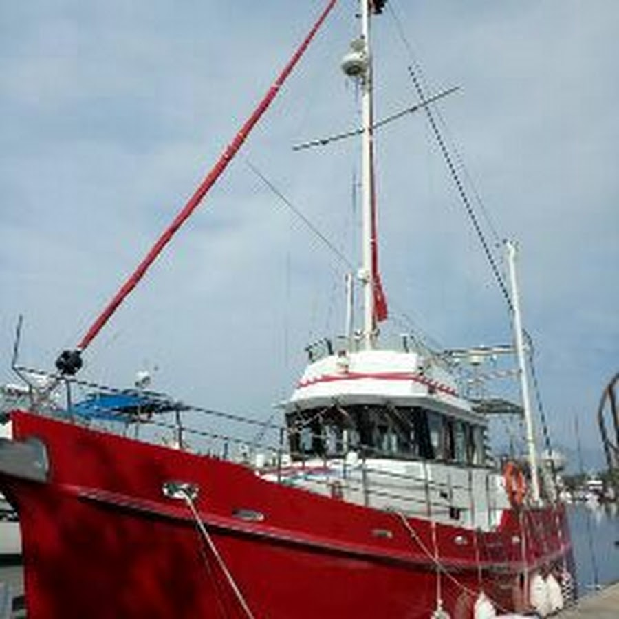 Diesel Duck 382 Troller Yacht - YouTube