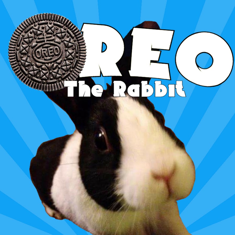 Oreo The Rabbit - YouTube