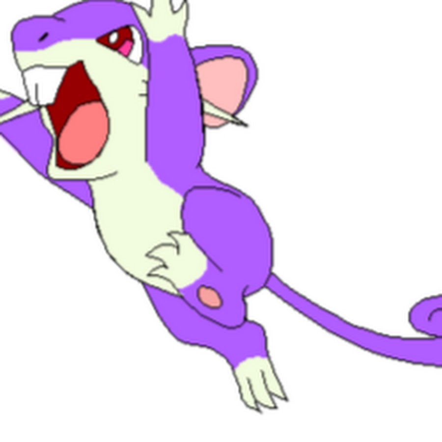 Rattata with Focus Sash, Endeavor and Quick Attack - YouTube