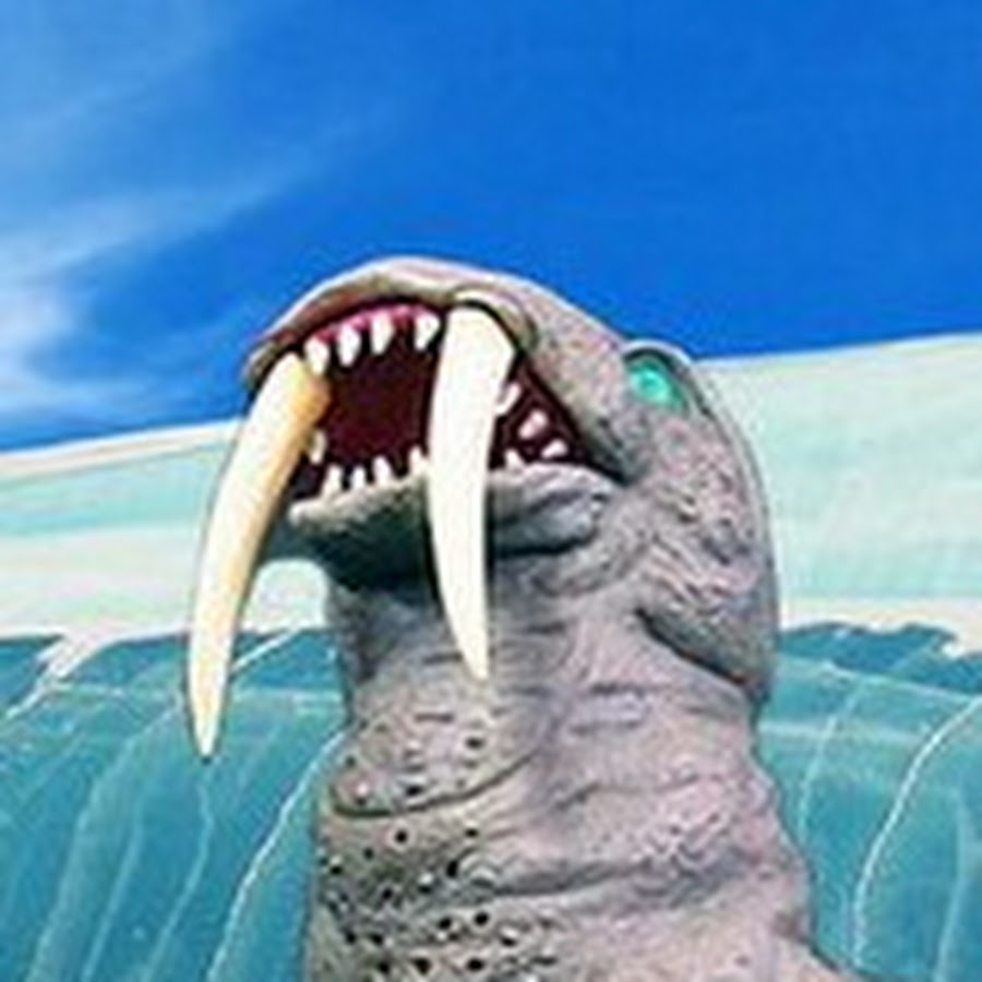 Mad Walrus - YouTube