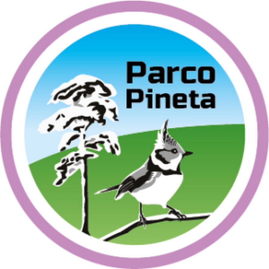 Parco Pineta di Appiano Gentile e Tradate - YouTube