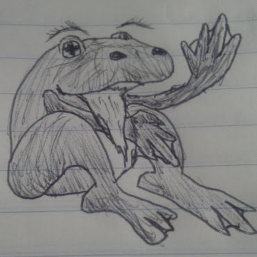 Bearded Frog - YouTube