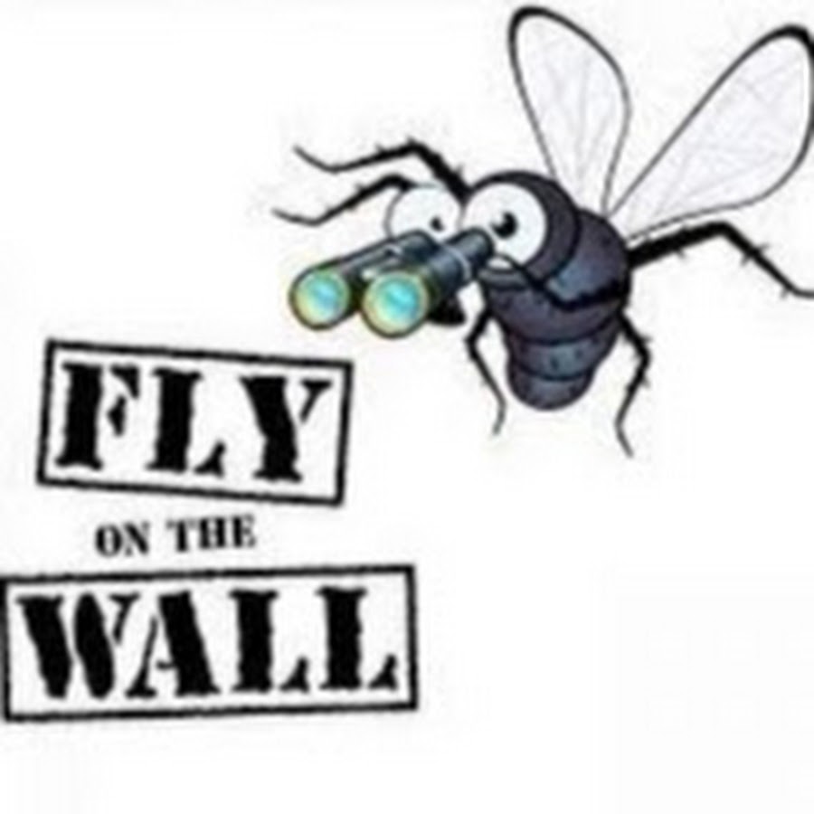 Unity Valkyrie Mitford - YouTube