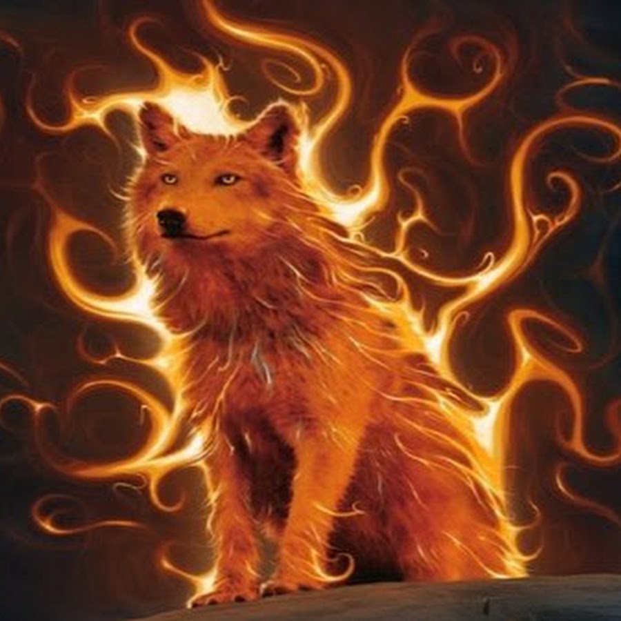 FireWolf Gaming - YouTube