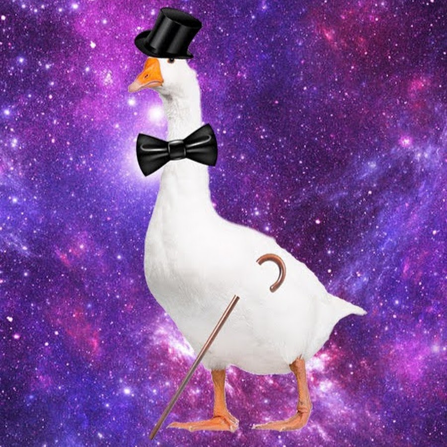 Goofy Goose - YouTube