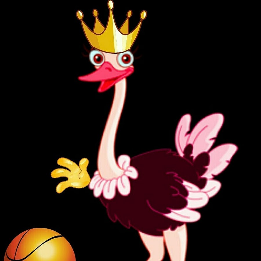 King Ostrich - YouTube
